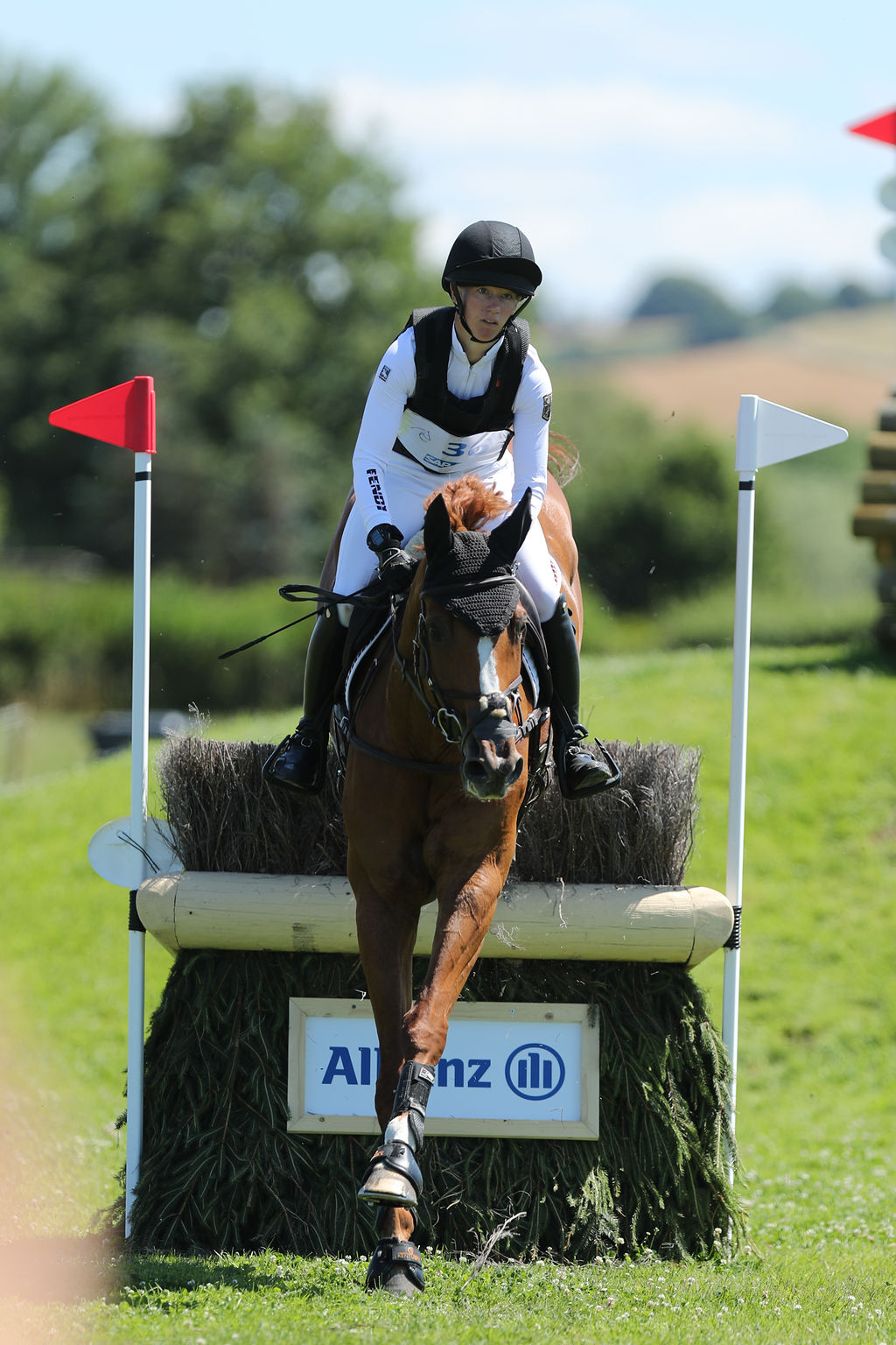 CHIO Aachen wirft seine Schatten voraus- die deutschen Starter 2023 ...