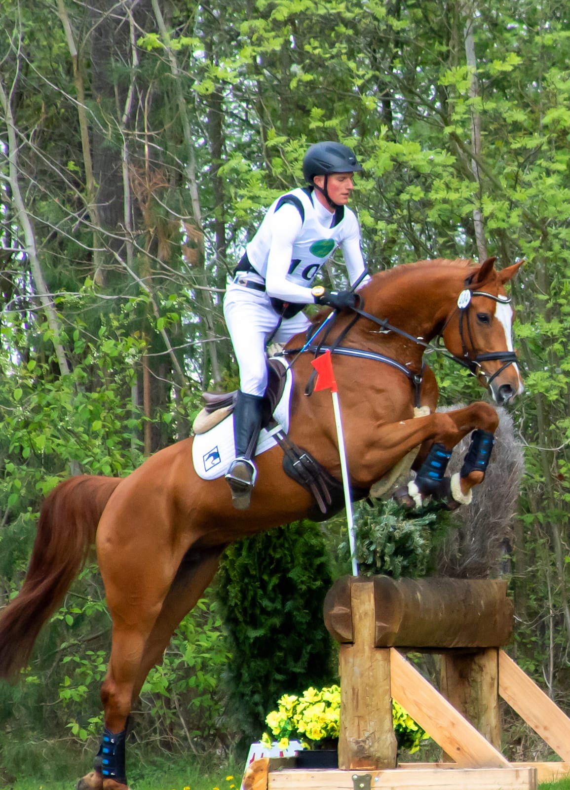 CCI2*-S Luhmühlen: Siege für Körner, Wittkohl und Matthias ...