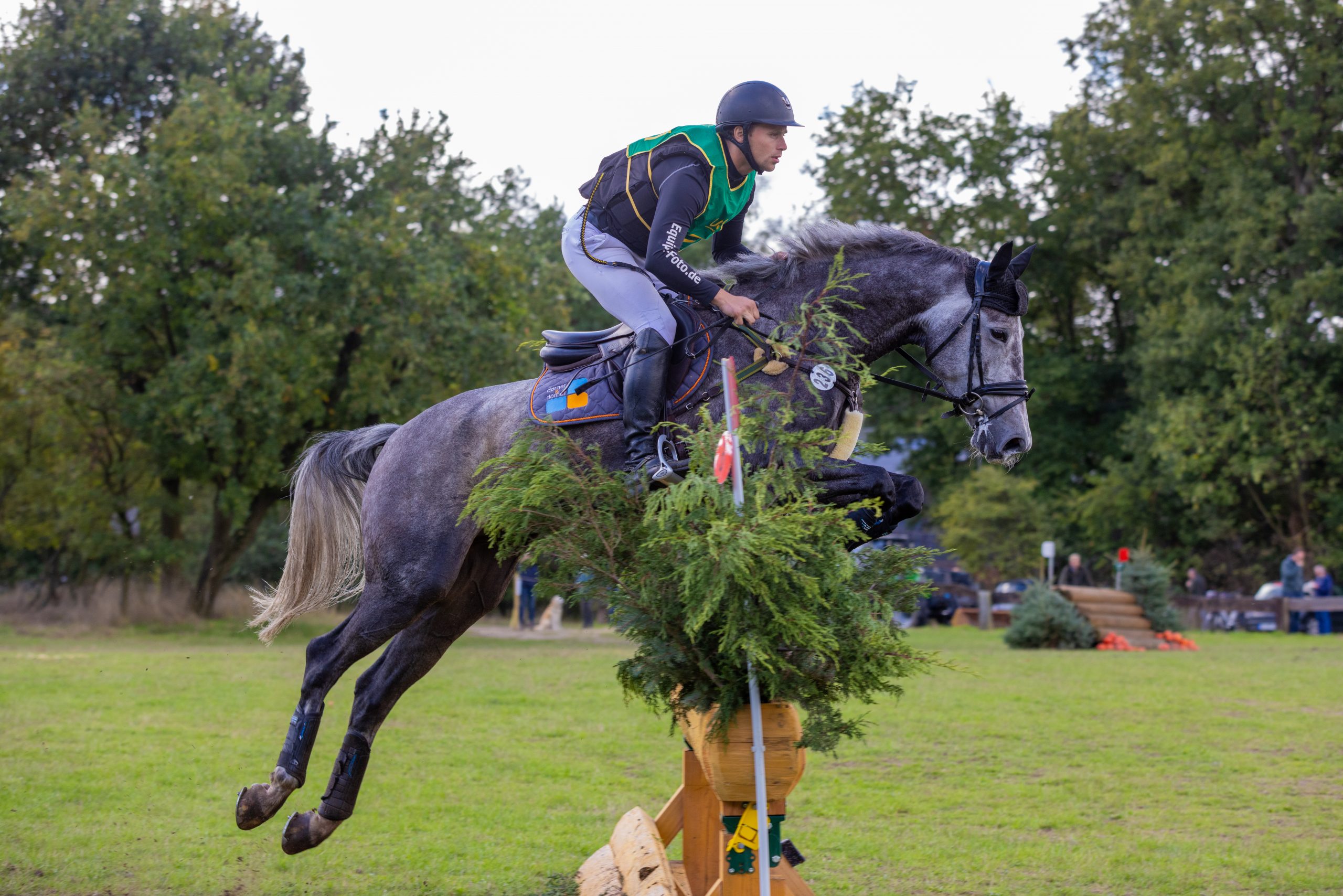 CCI3*-S Sahrendorf: Sieg für 3*-Debütanten Bronco unter Arne Bergendahl ...