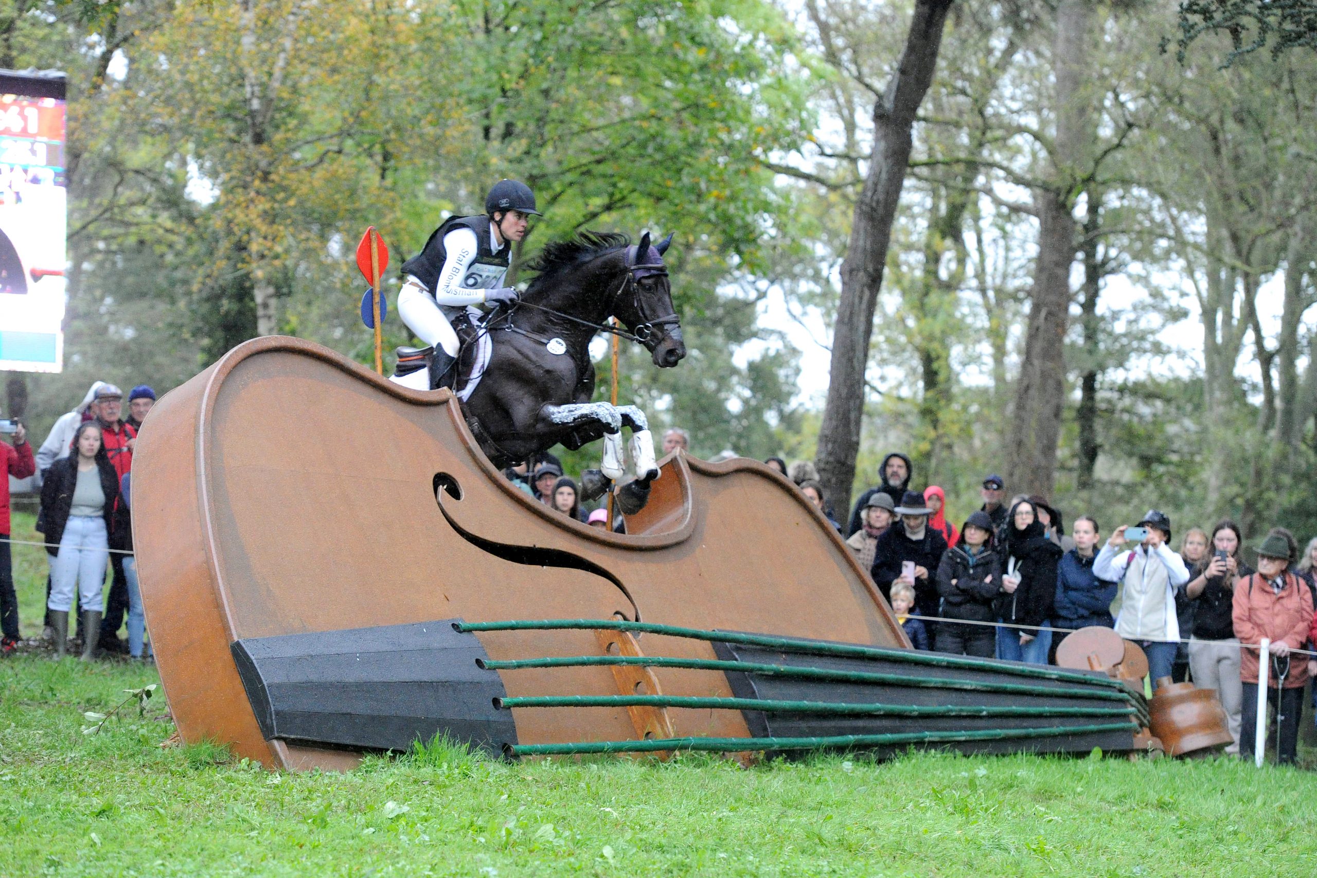 Holsteiner Stute Killer Queen aus der Zucht von Morena Petersen ist ...
